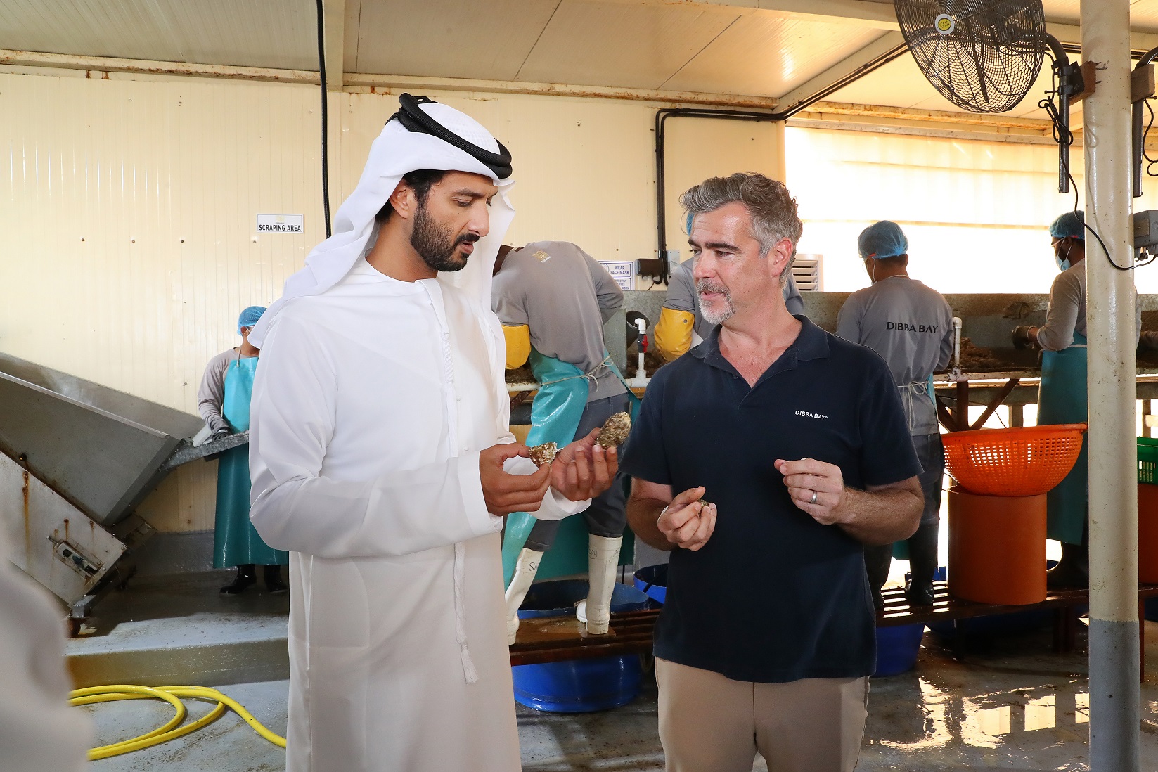Minister of Economy visits Dibba Bay Oyster farm to review plans for ...