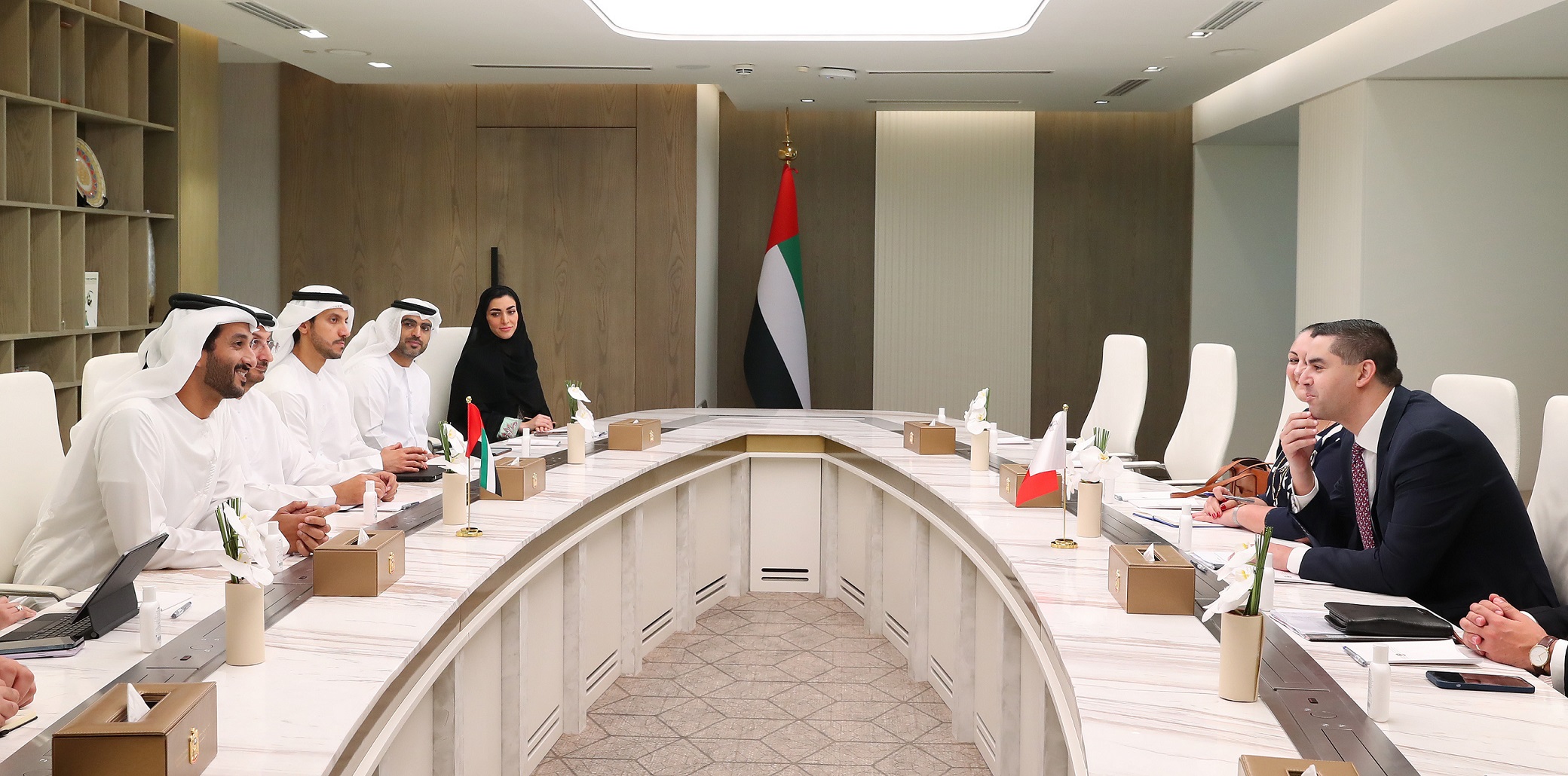 UAE and Malta explore ways to enhance cooperation in technology ...